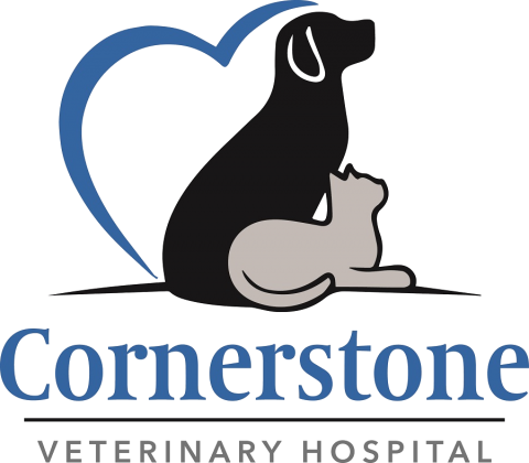 Blog - Cornerstone Veterinary Hospital