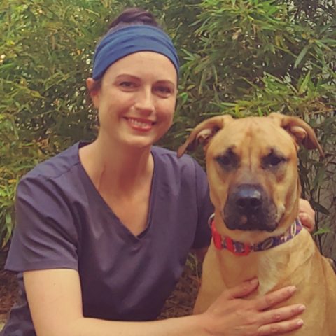 About - Cornerstone Veterinary Hospital
